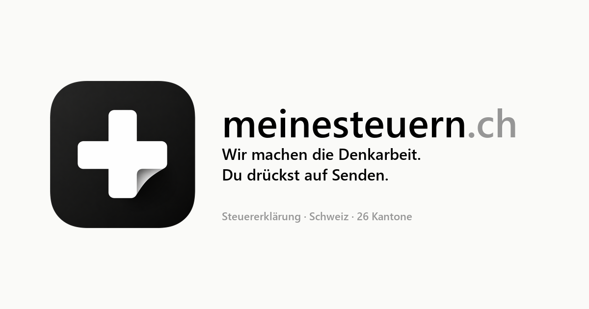 Steuererklärung Bern 2026: TaxMe via BE-Login und AGOV · meinesteuern.ch